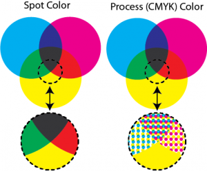 What's the Difference Between Spot and Process Printing? - Lena Shore